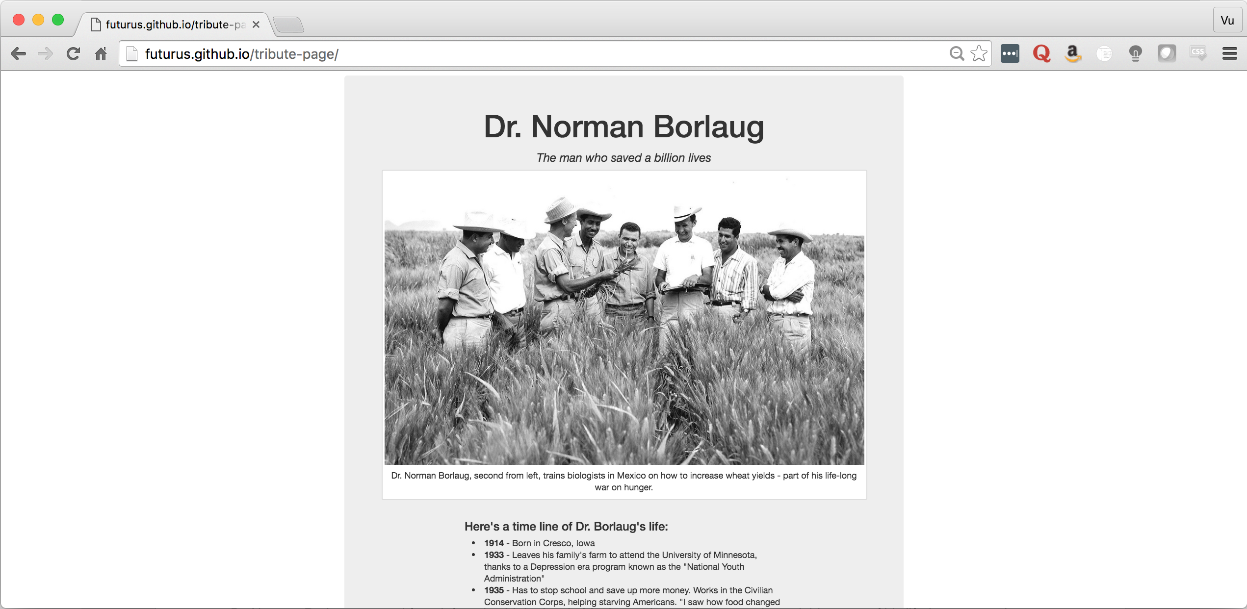 Vu Nguyen | Developer